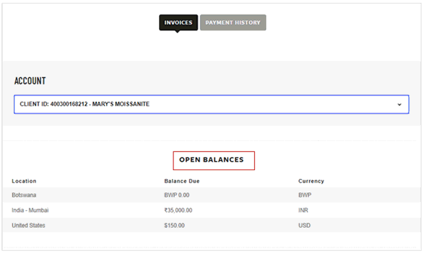 CLIENT PORTAL INVOICES BILLING